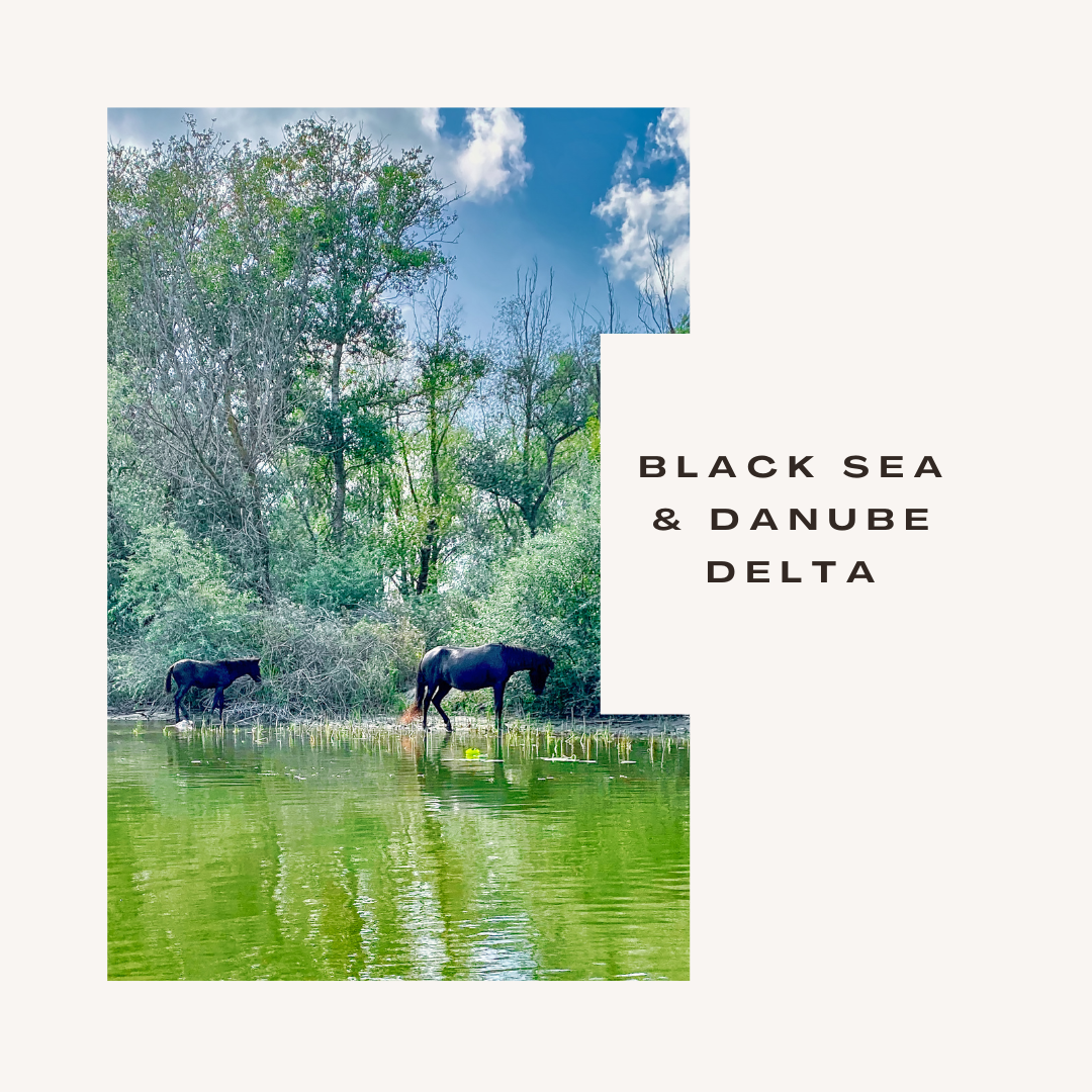 All About Romania – ルーマニア情報サイト